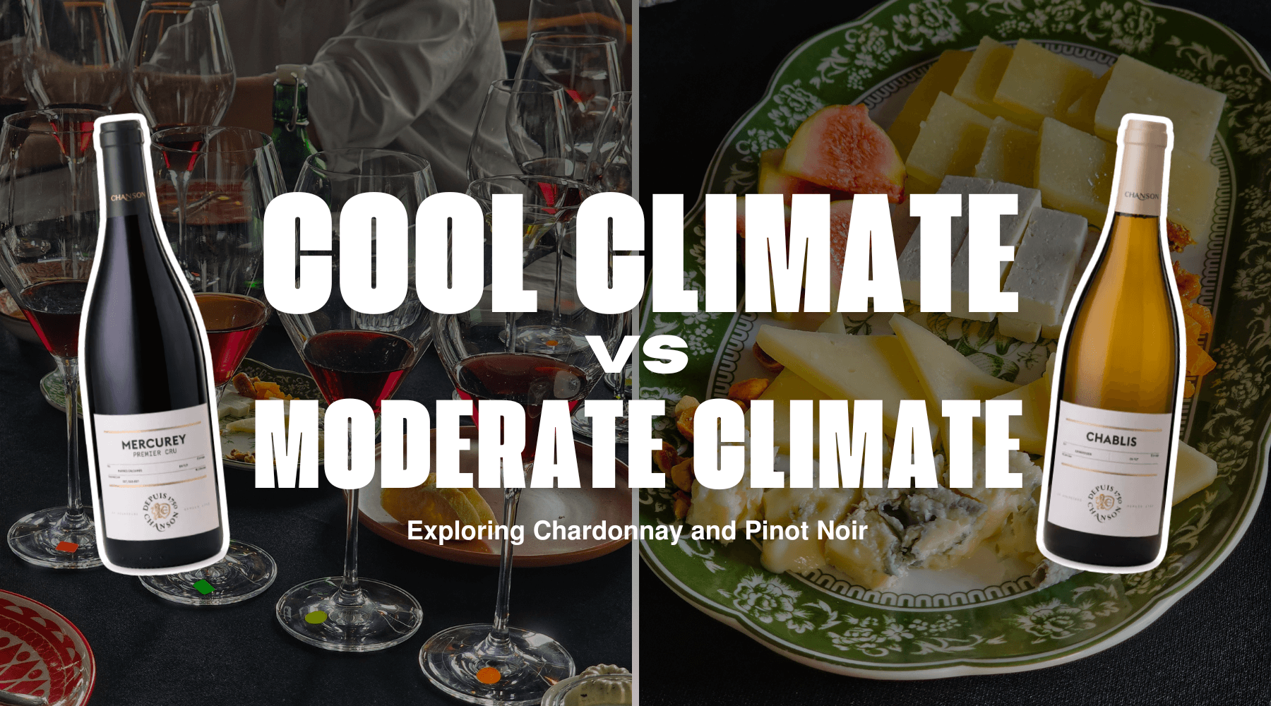 Cool Climate vs. Moderate Climate: How Does Climate Shape Your Wine?